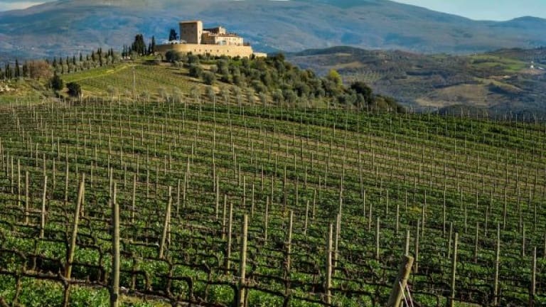 From Budget-Friendly to Splurge-Worthy: The 13 Best Brunello di ...