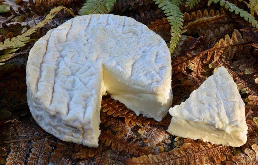 Soumaintrain: il leggendario formaggio francese - Wine Dharma
