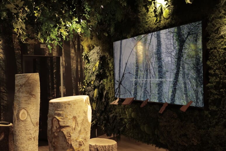 Inaugurazione del MuTart: il Museo del Tartufo a San Miniato - Wine Dharma